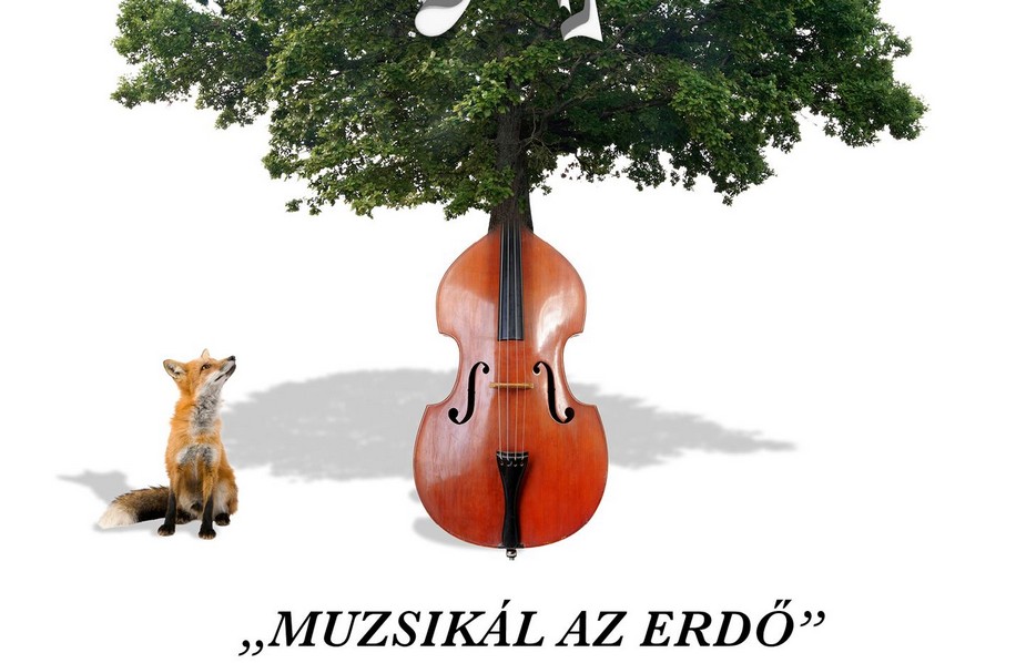 Muzsikál az erdő - Szatmár megyében is